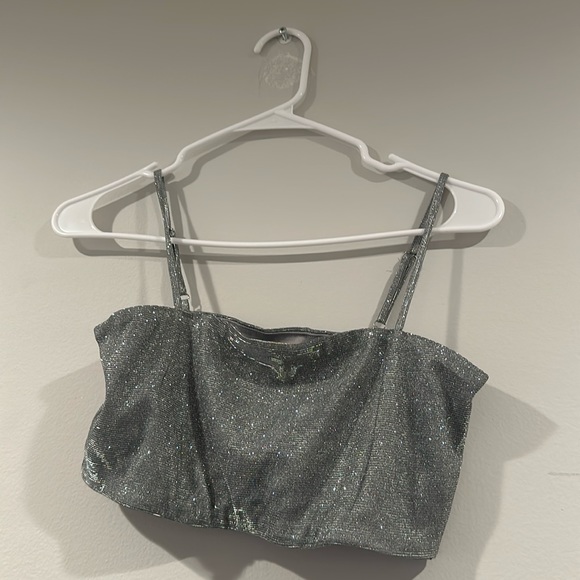Tops | Sliver Glitter Crop Top | Poshmark